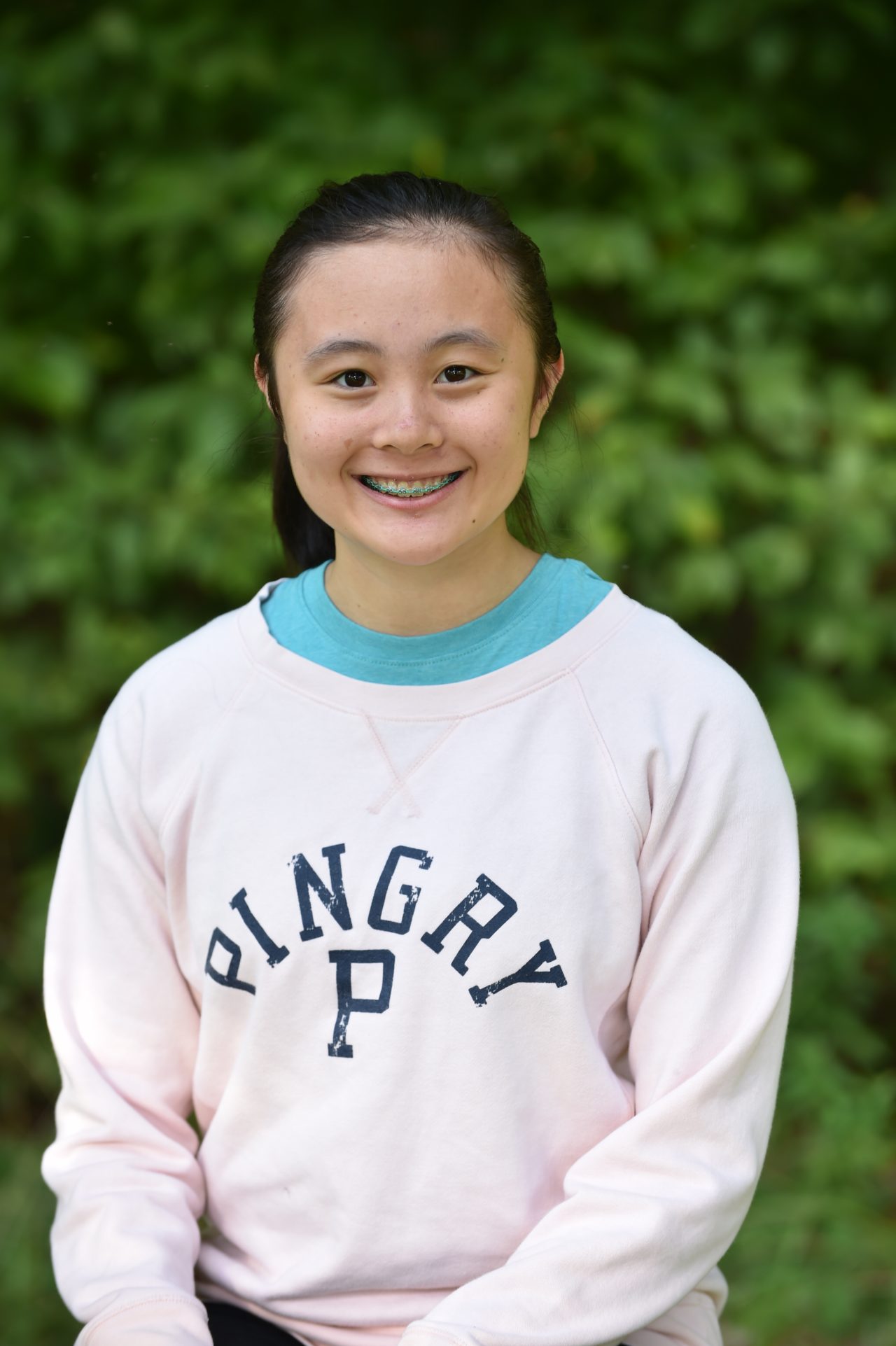 Diet Flies | IRT Independent Research Team